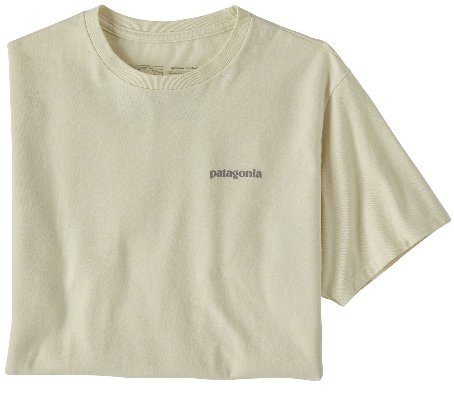 Patagonia Fitz Roy Icon Responsibili T-Shirt BCW | T-Shirts | Shirts ...