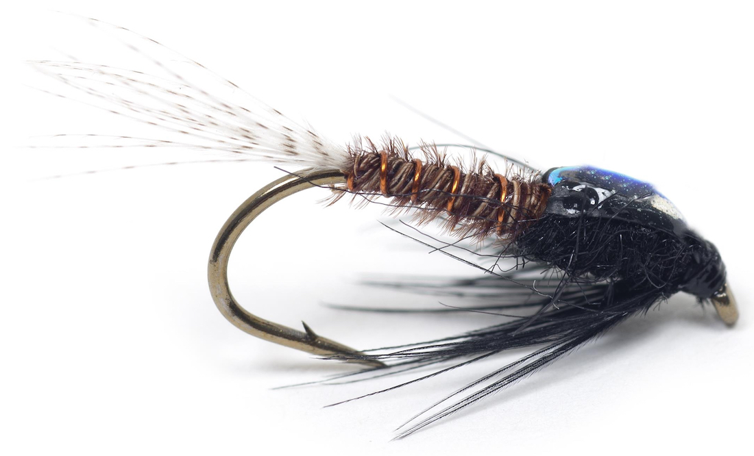 Guideline Nymphe - DK Brown Flashback PTN | Classic Nymphs | Nymphs ...
