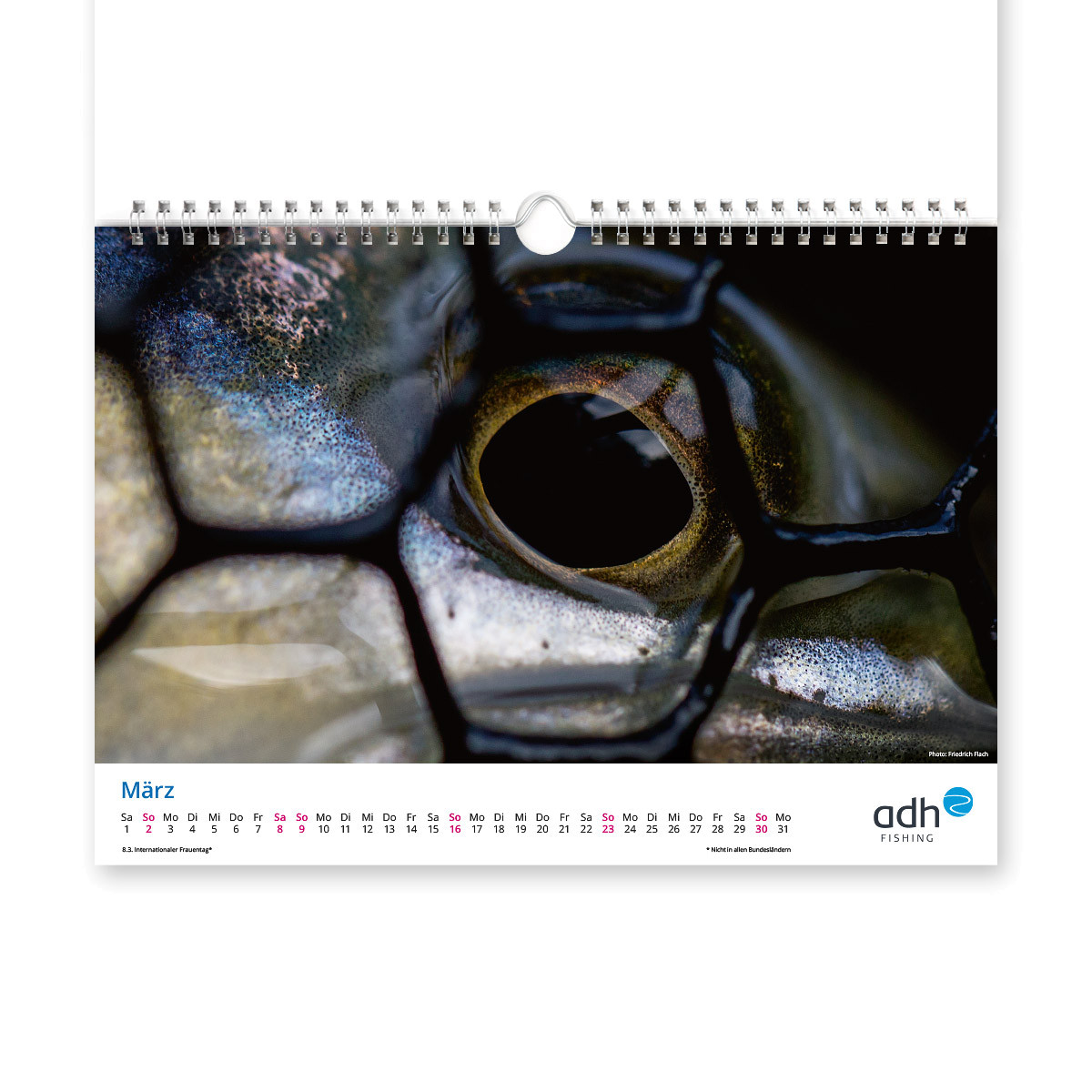 Free Fly Fishing Calendar for 2025 | adh-fishing