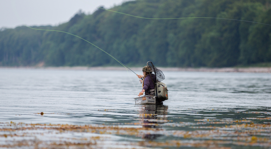 Top 10 Fly Patterns for Sea Trout | adh-fishing
