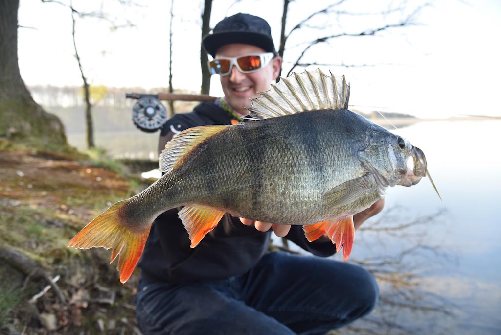 Successful start into the Predator Season | adh-fishing