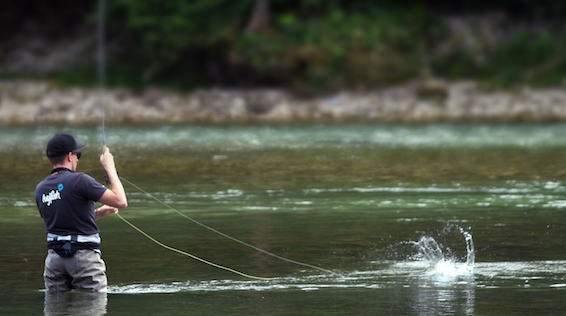 hejfish.com - Find your water! | adh-fishing