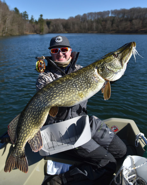 Fulling Mill Streamer - Salty Baitfish Mullet | Pike Flies | Flies ...