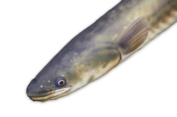 Fish Pillow Soft Toy Eel 115cm | Useful Things and More | Equipment ...
