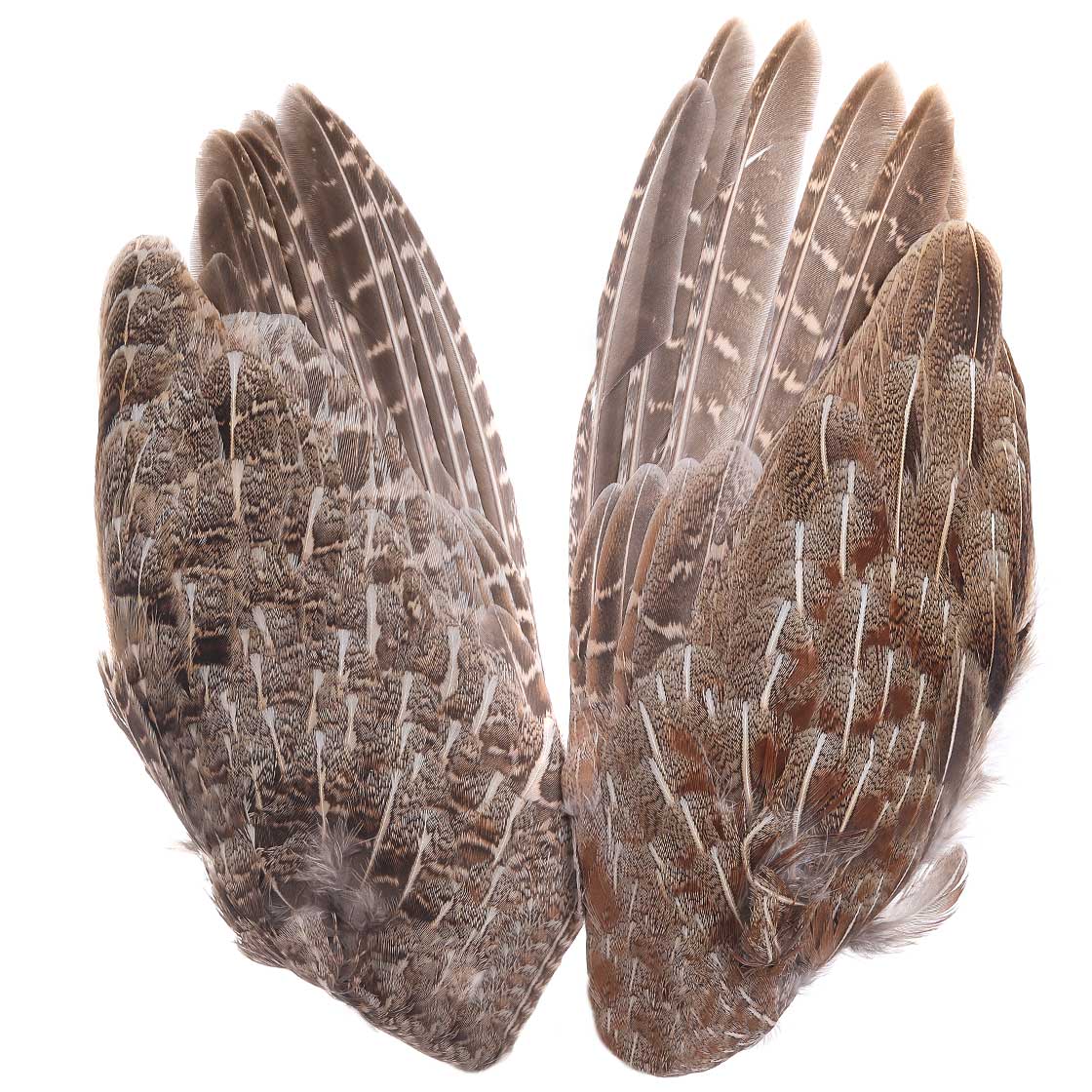 Veniard English Partridge Grey Partridge Neck Natural 3g Big Pack | P-32140